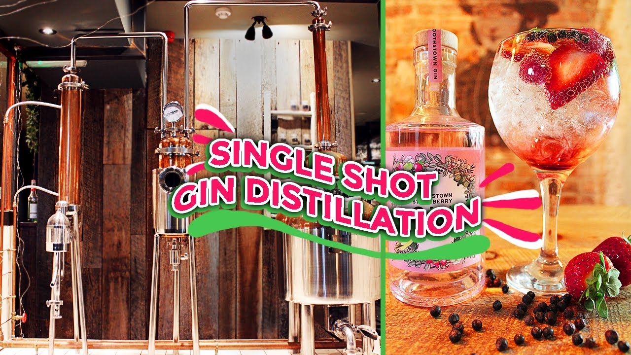 Distilling Pink Strawberry Gin - Miss Brewbird