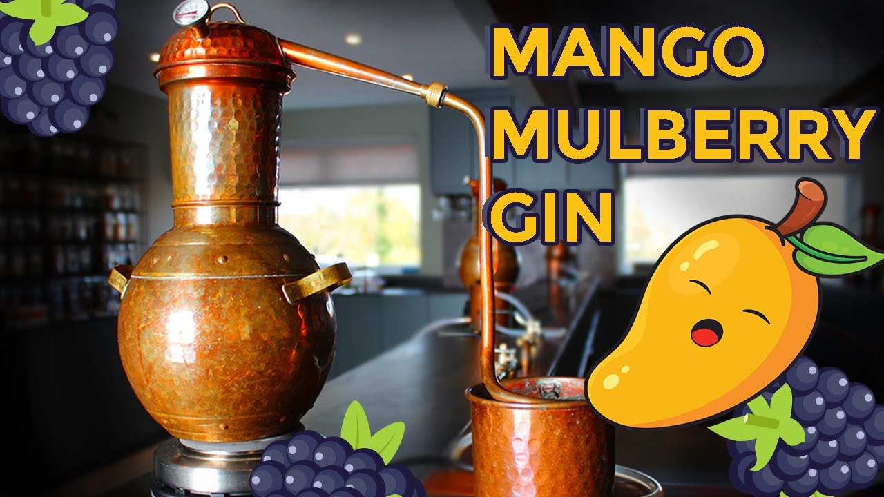 Mulberry Mango Gin & Gin Recipe Testing - Miss Brewbird