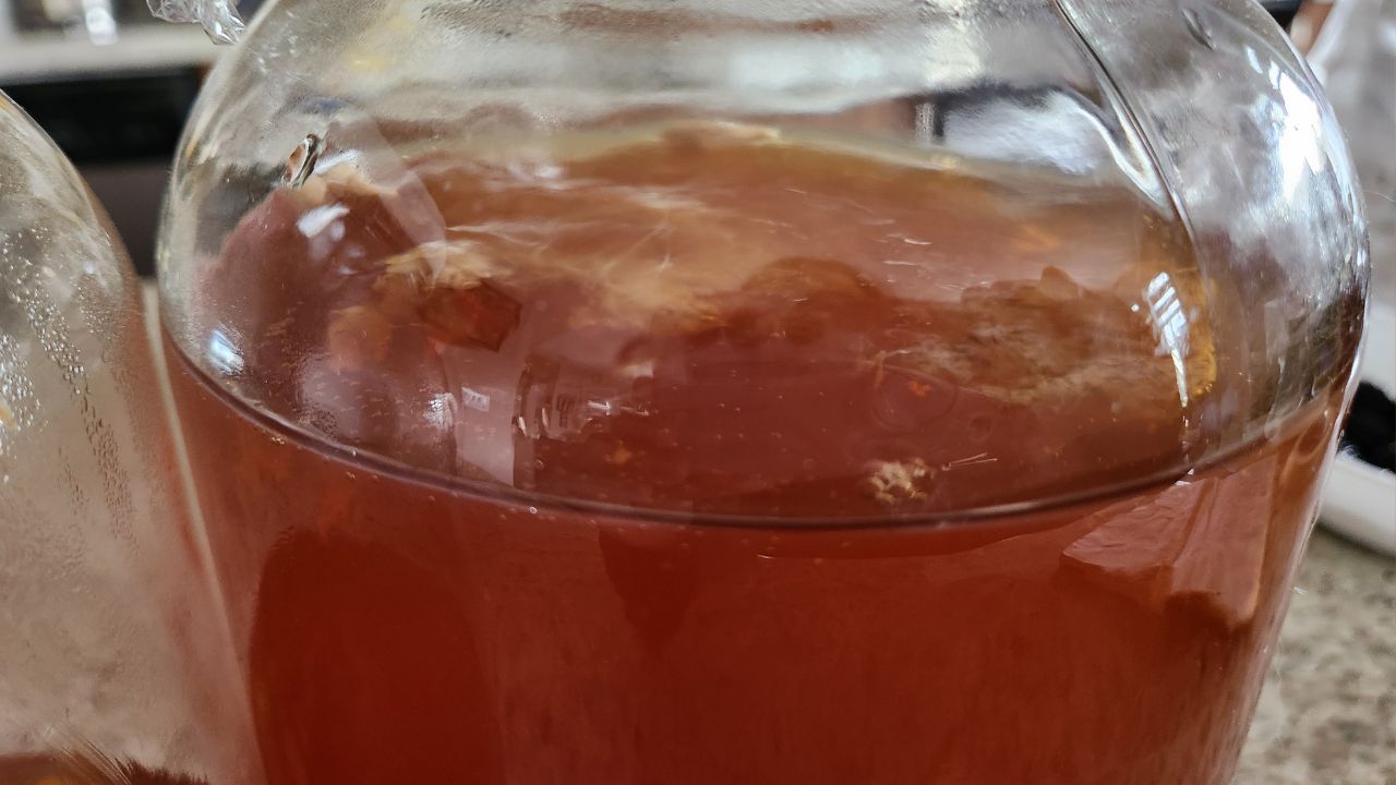 Kombucha Recipe - Miss Brewbird